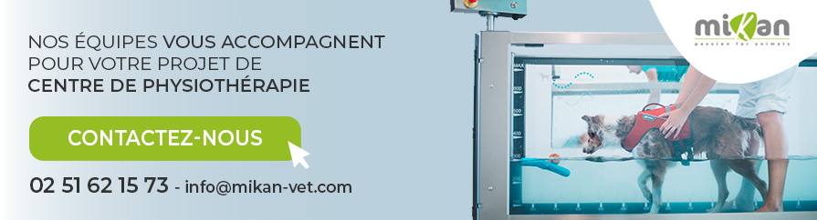 Accompagnement physiothérapie vétokinésis